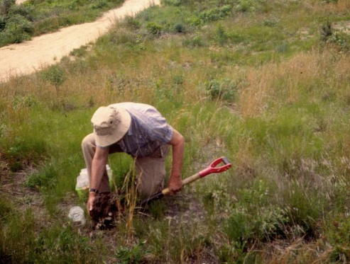 Remnant Formations | Anthropocene Curriculum