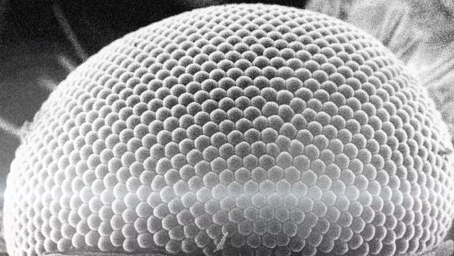 Biosphere 2: The Mars Project | Anthropocene Curriculum