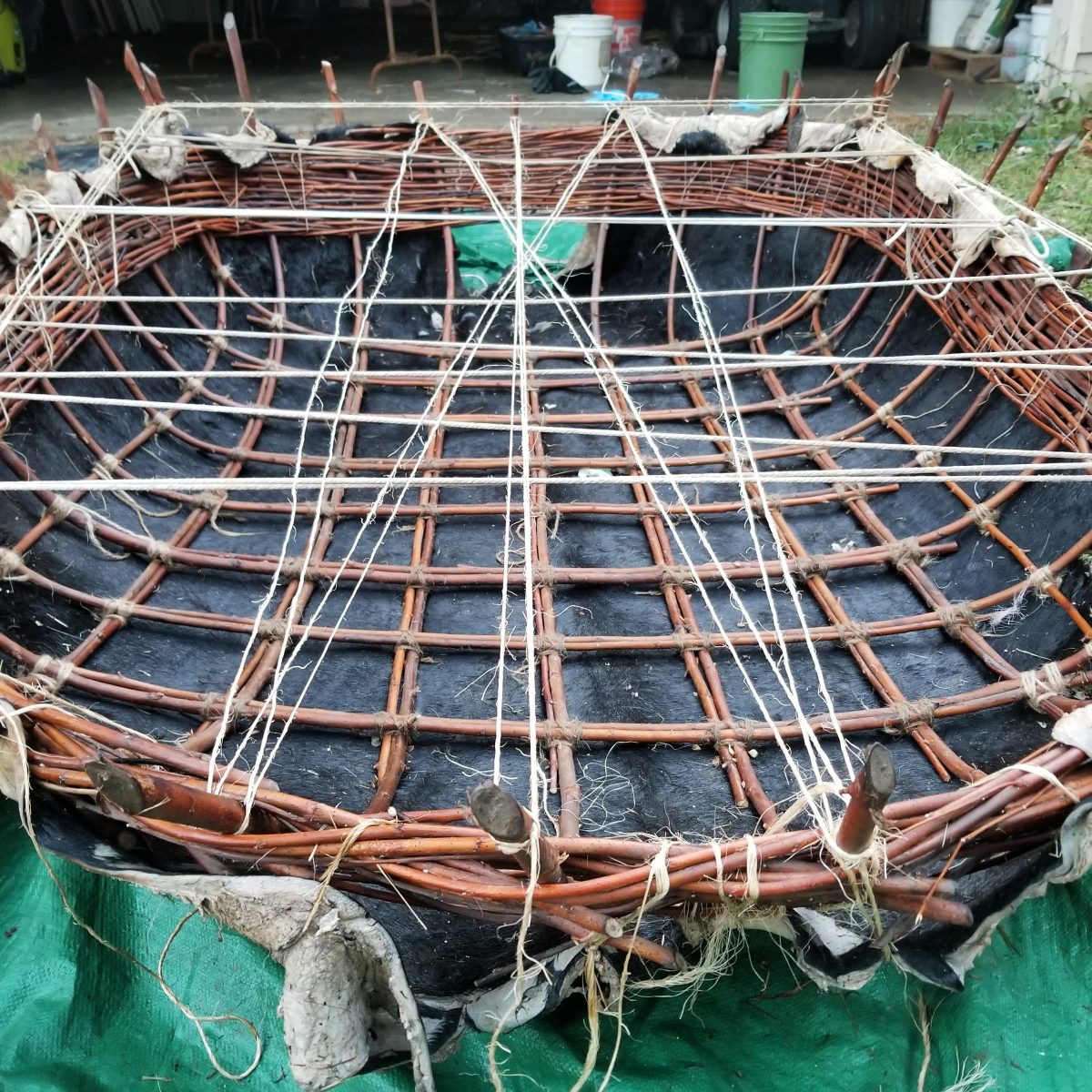 This Is Not About Survival | Anthropocene Curriculum