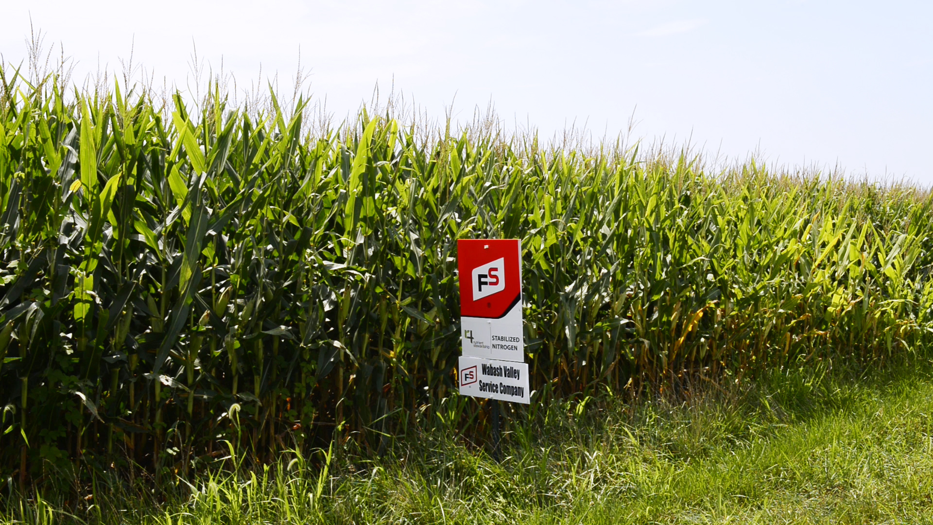 Hopium Economy | Anthropocene Curriculum