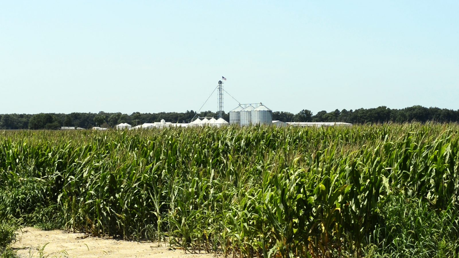 Hopium Economy | Anthropocene Curriculum