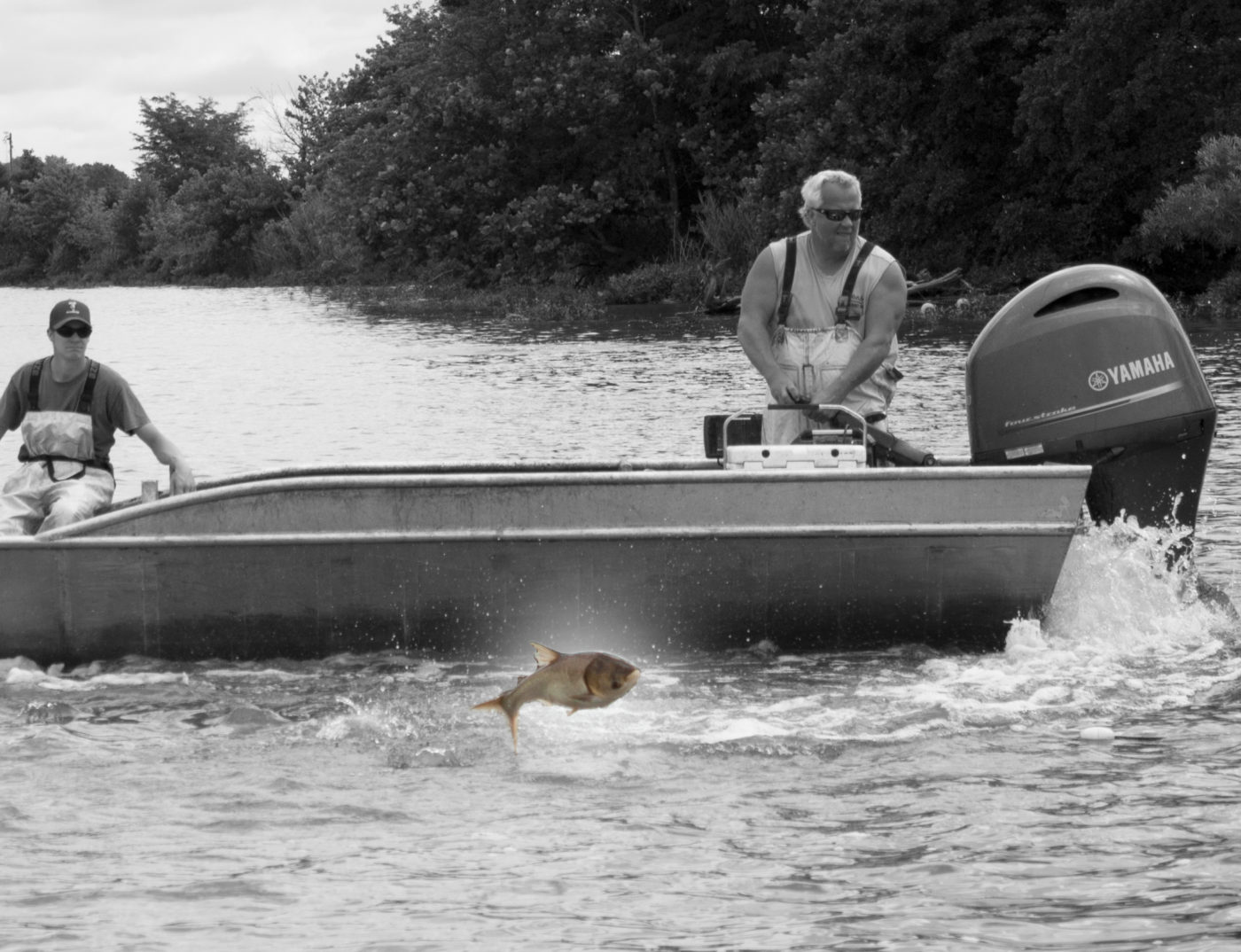 Defensive Ecologies: Extracting Asian Carp from the Illinois River ...
