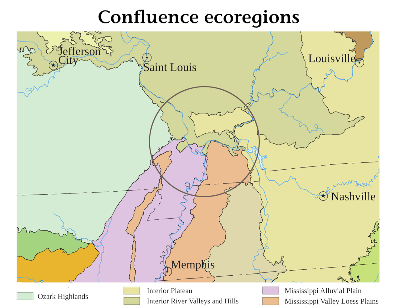 Landscapes of Confluence | Anthropocene Curriculum