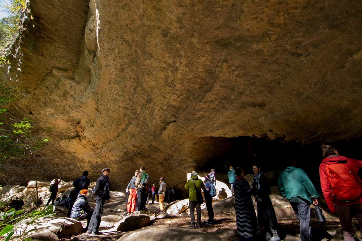 Deep Time Walking | Anthropocene Curriculum