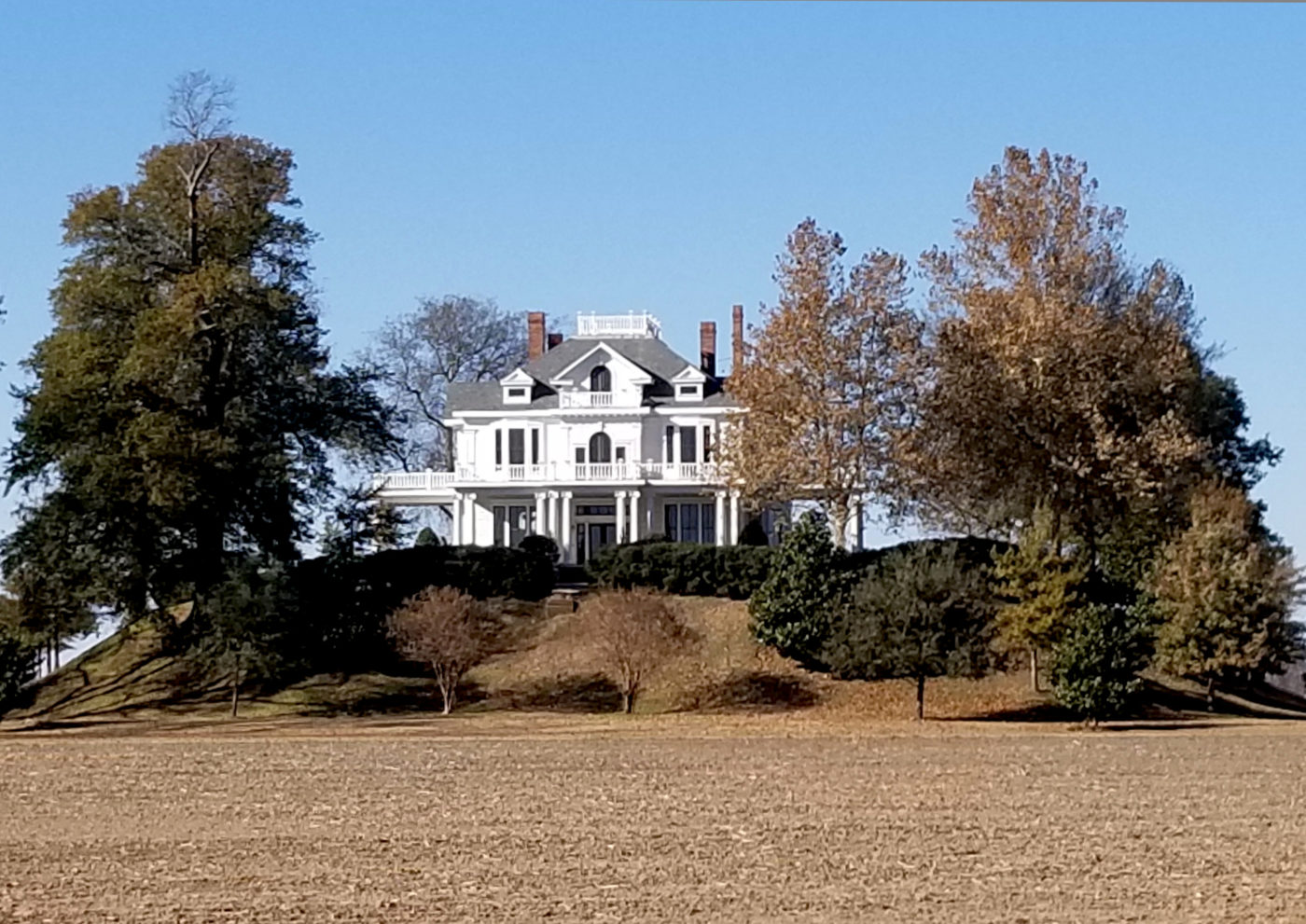 Anthropocene Curriculum