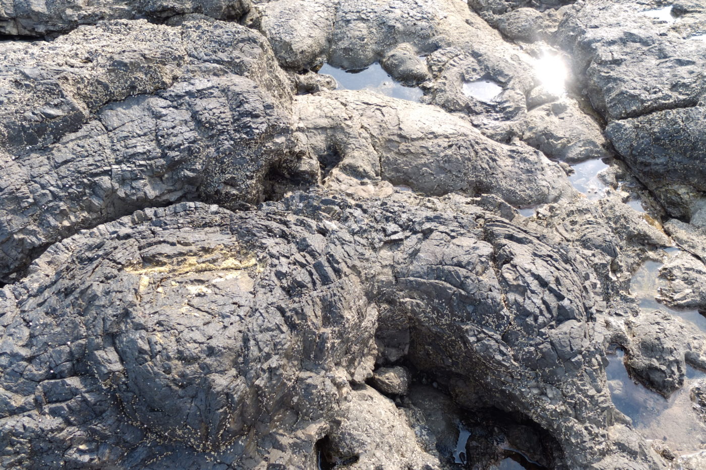 Anthropocene Curriculum | Anthropocene Curriculum