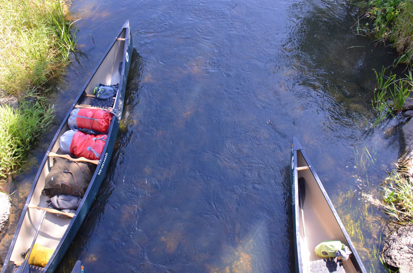 On Translation and Agency on an Anastomosed River | Anthropocene Curriculum