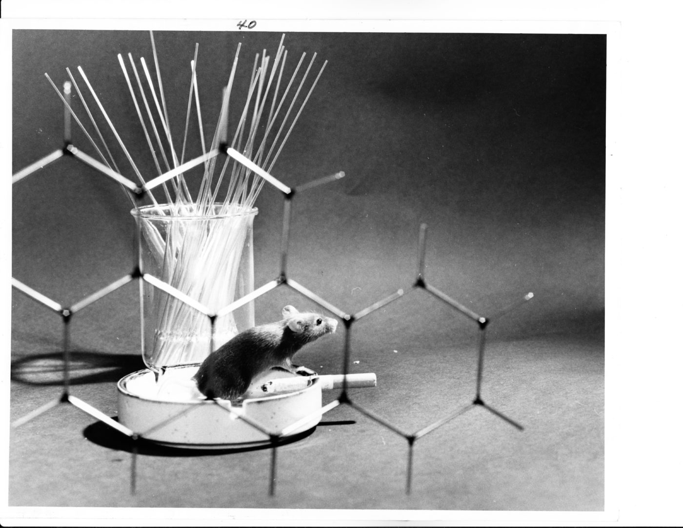 Home | Anthropocene Curriculum