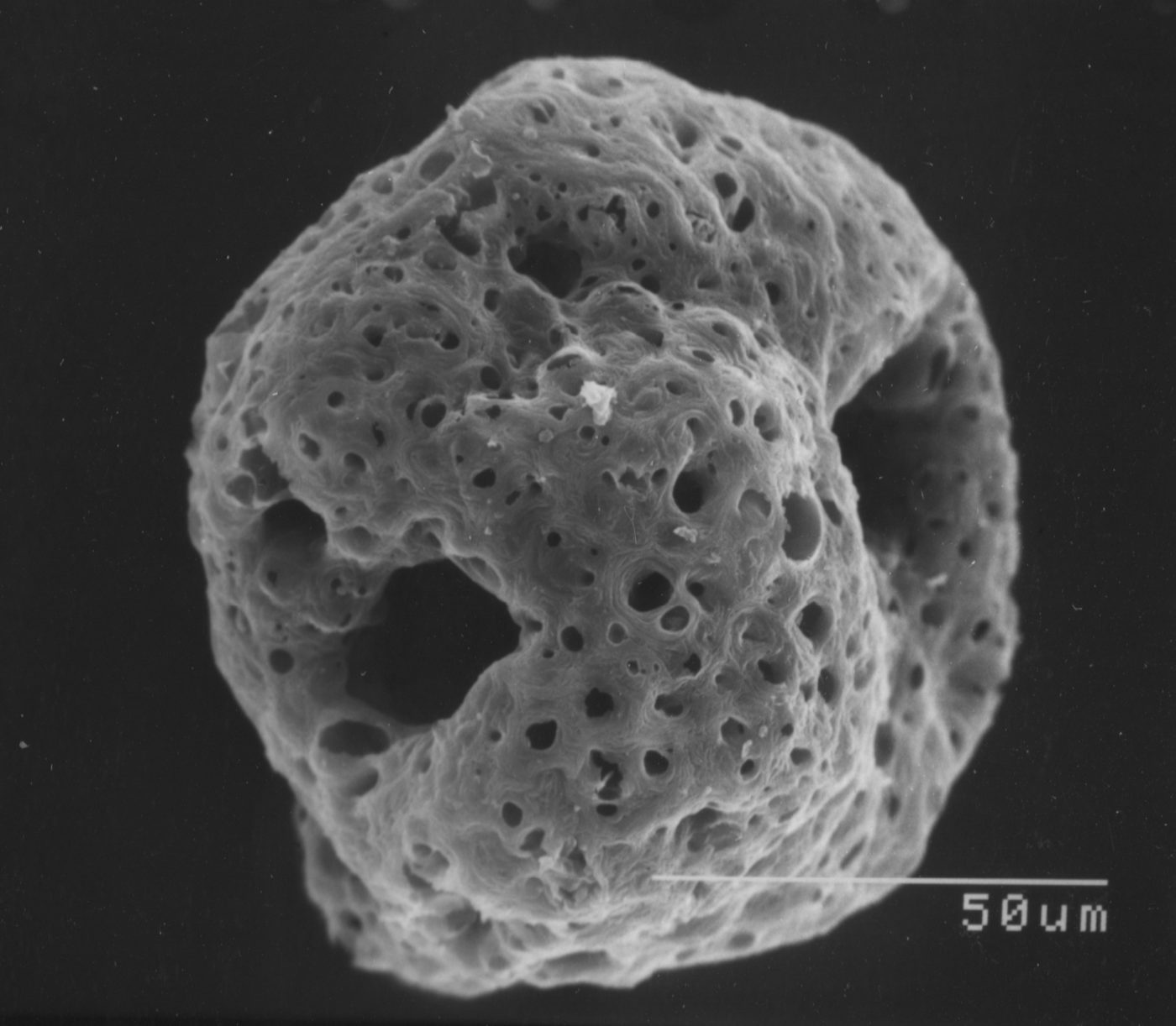 Combustion Products as Markers for the Anthropocene | Anthropocene ...