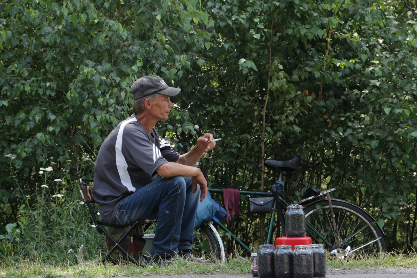 Home | Anthropocene Curriculum