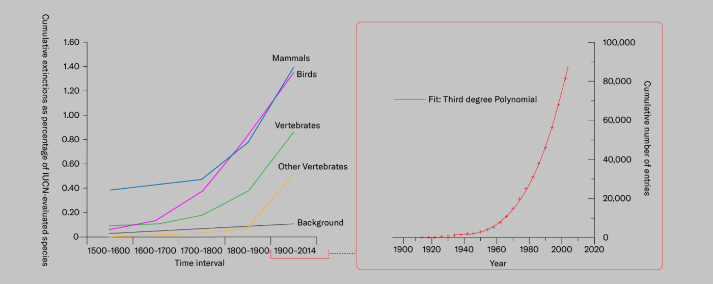 Anthropocene Curriculum