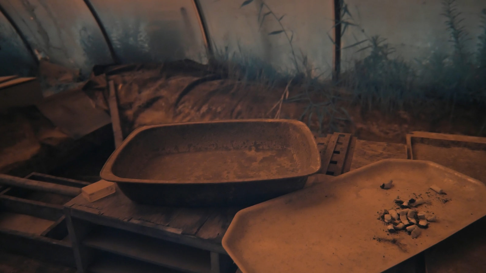 Geological Evidences | Anthropocene Curriculum