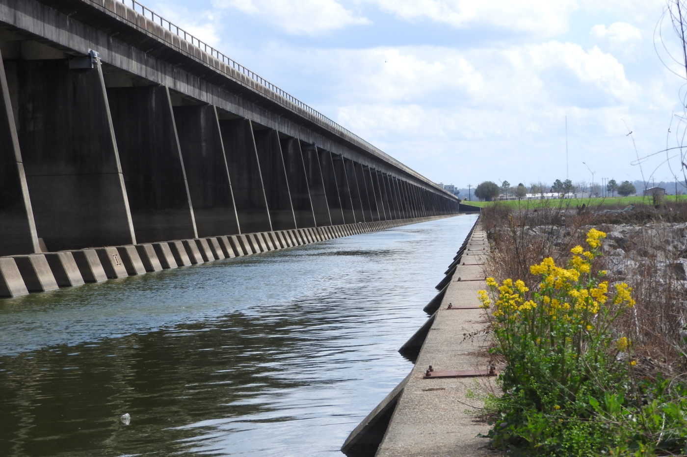 Anthropocene Curriculum | Anthropocene Curriculum