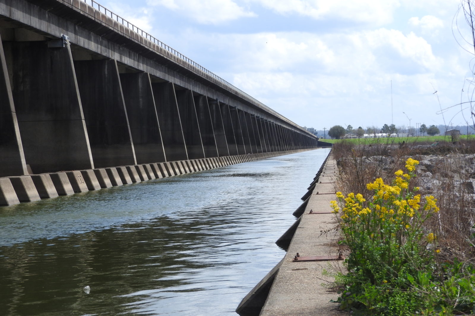 Anthropocene Curriculum | Anthropocene Curriculum