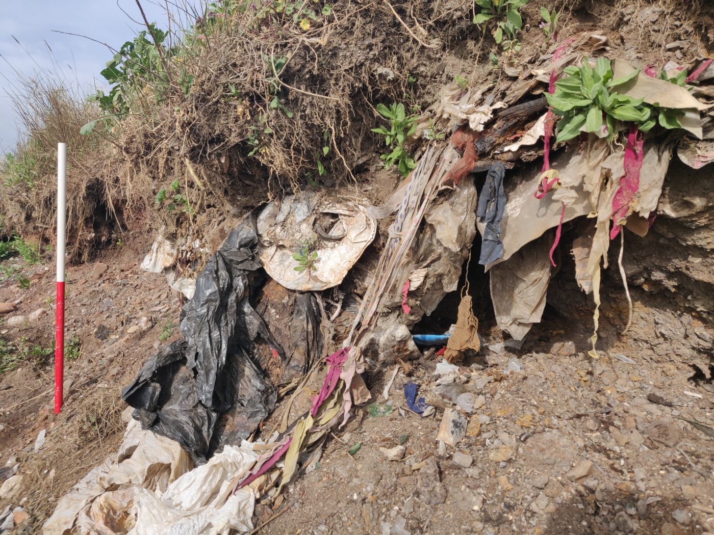 Anthropocene Curriculum