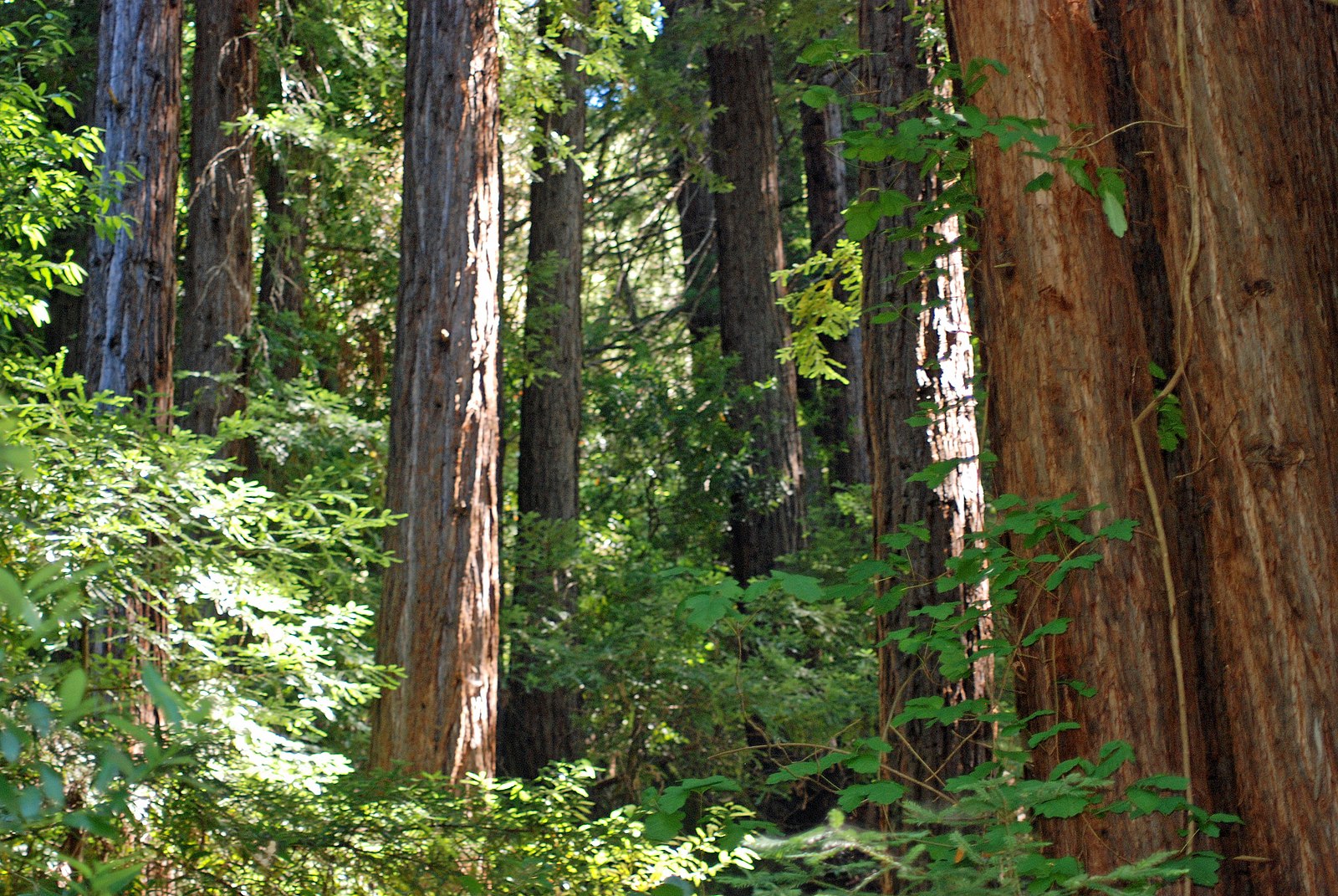 Home | Anthropocene Curriculum