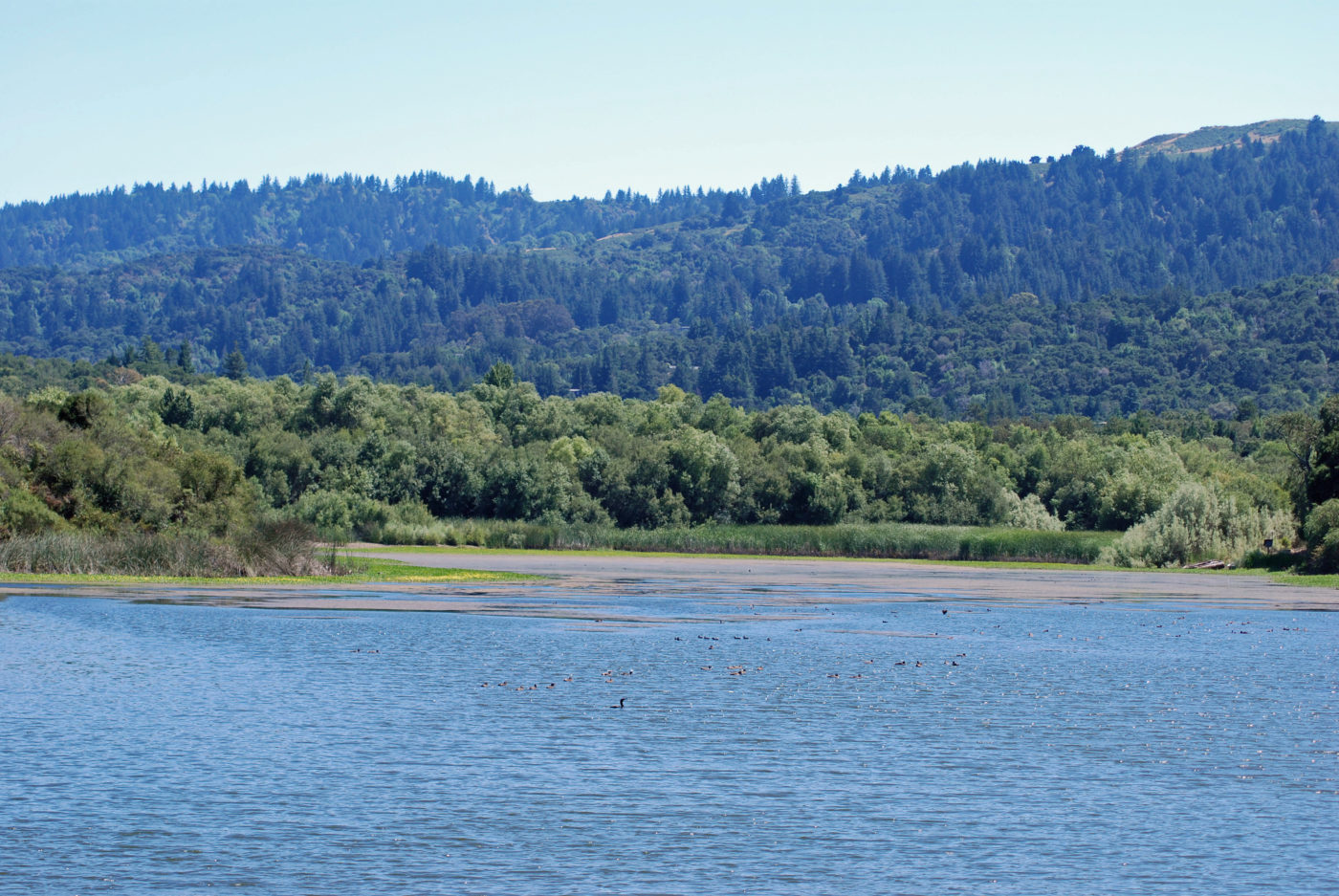 Home | Anthropocene Curriculum