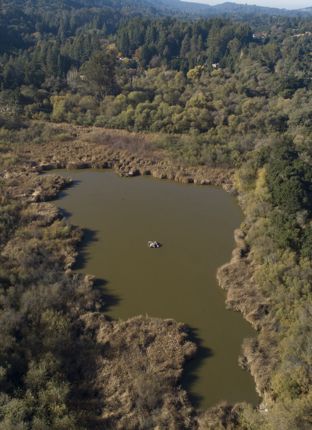 Home | Anthropocene Curriculum