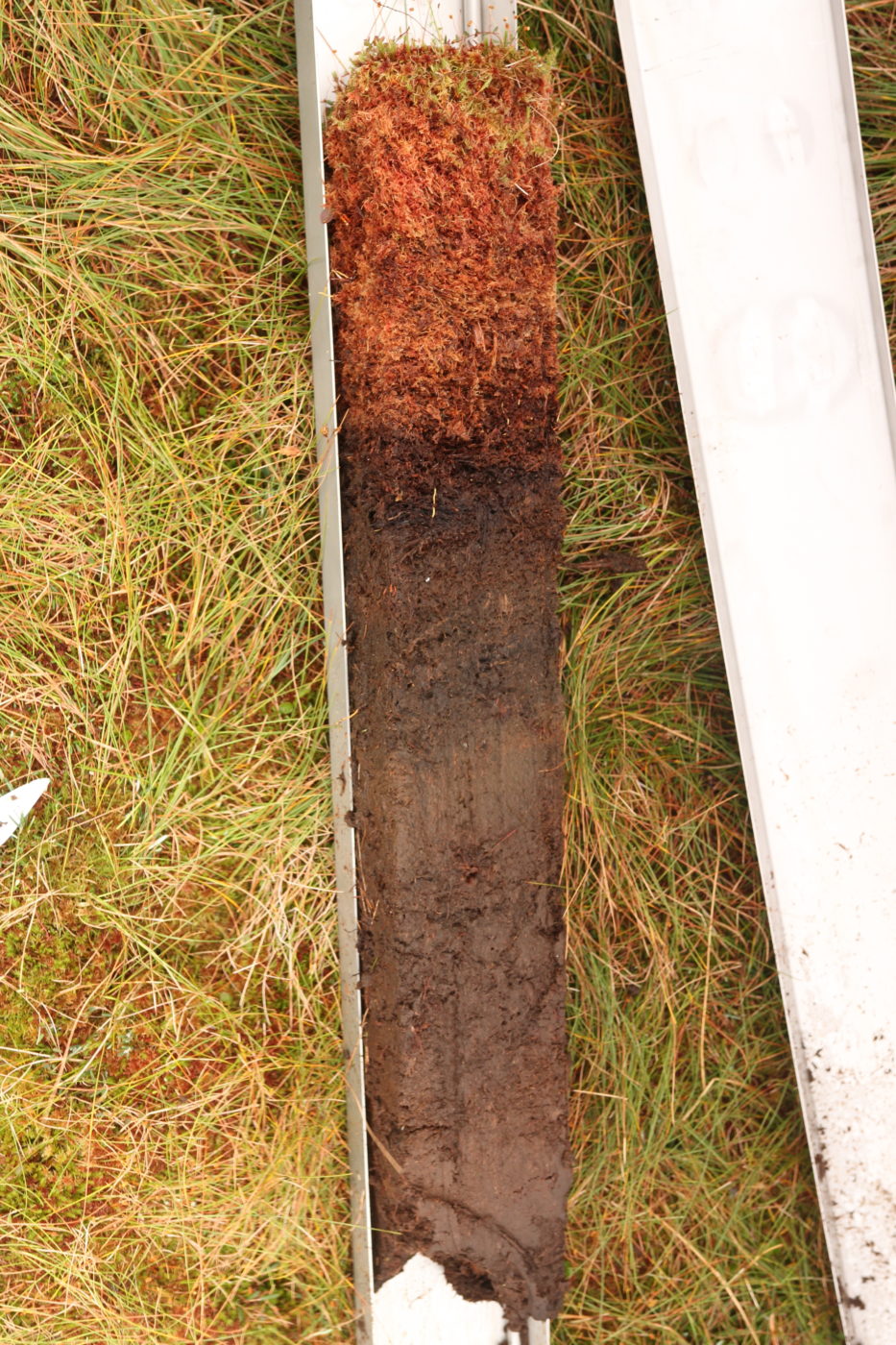 Home | Anthropocene Curriculum