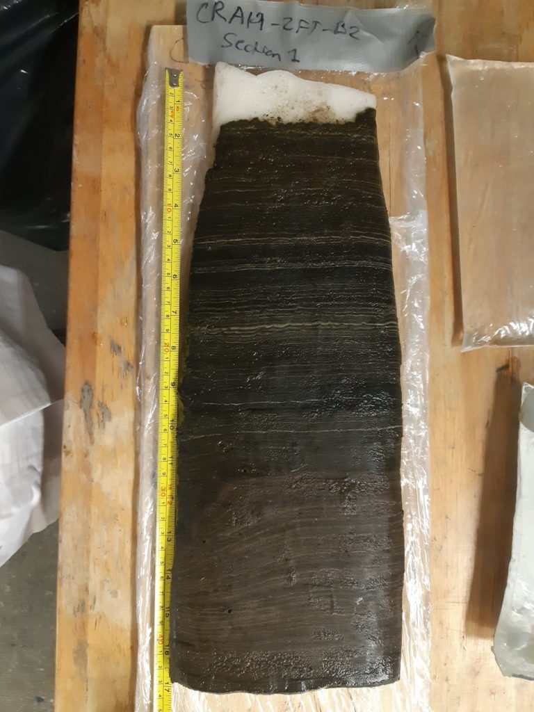 Home | Anthropocene Curriculum