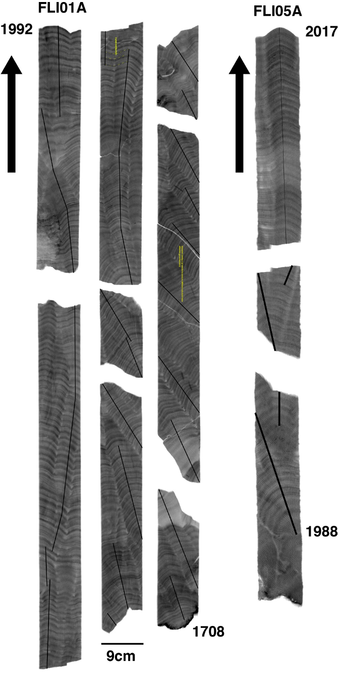 Home | Anthropocene Curriculum