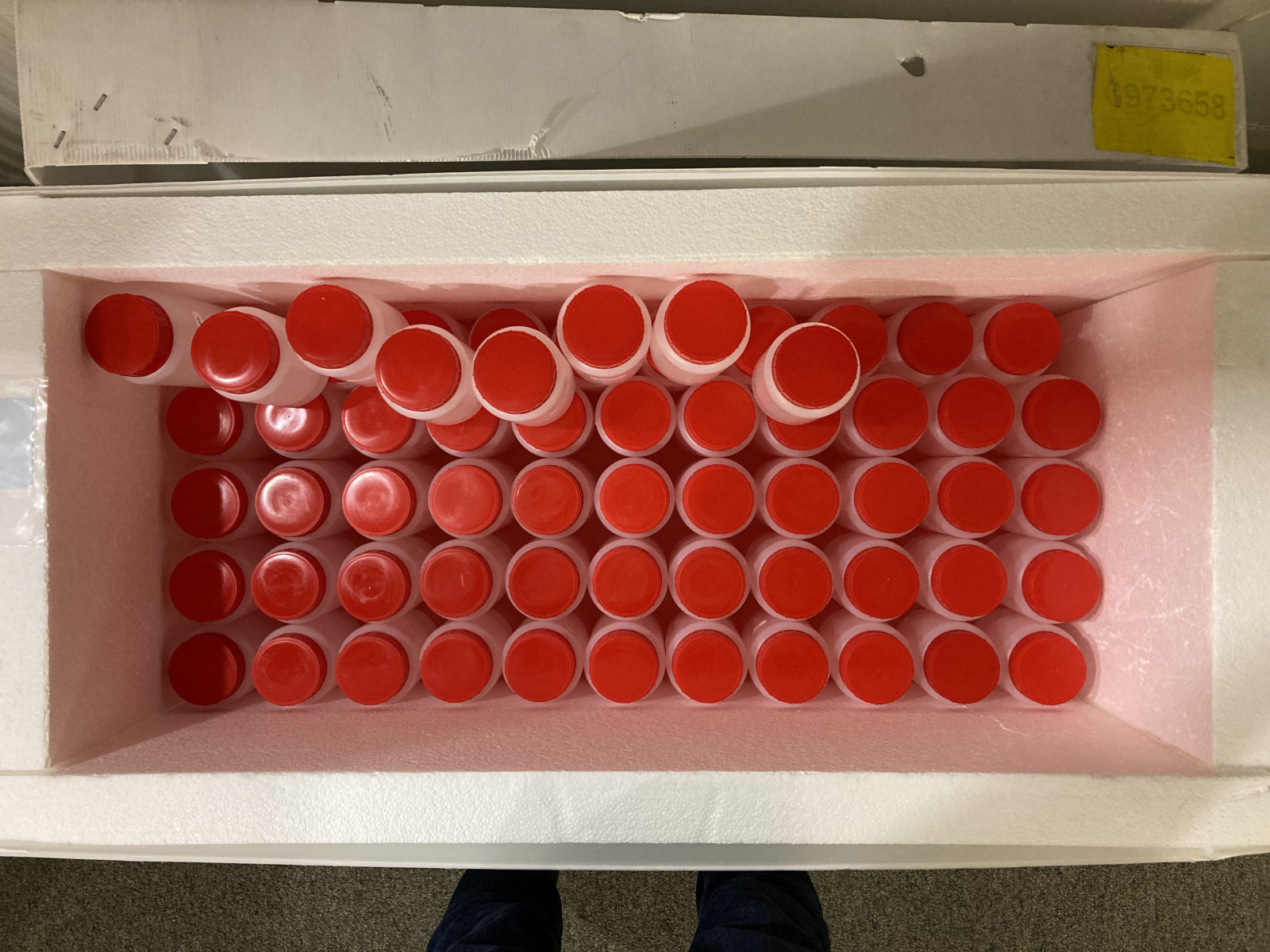 Home | Anthropocene Curriculum