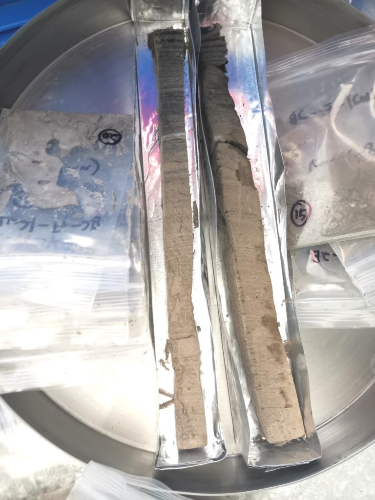 Anthropocene Curriculum | Anthropocene Curriculum