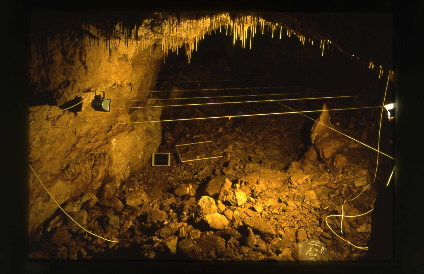 Home | Anthropocene Curriculum