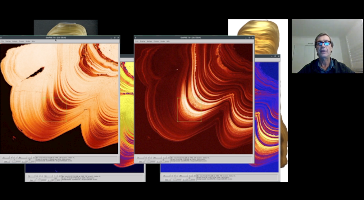 Clashing Presents: Reconciling Presents | Anthropocene Curriculum